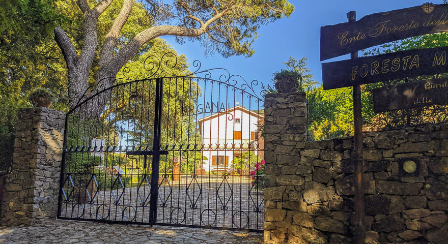 CMSB – Tappa 14: DA SAN BENEDETTO A MARGANAI | Sardegna Sentieri