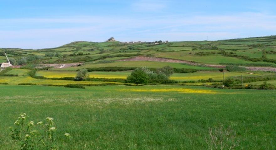 Anglona - Alchetron, The Free Social Encyclopedia